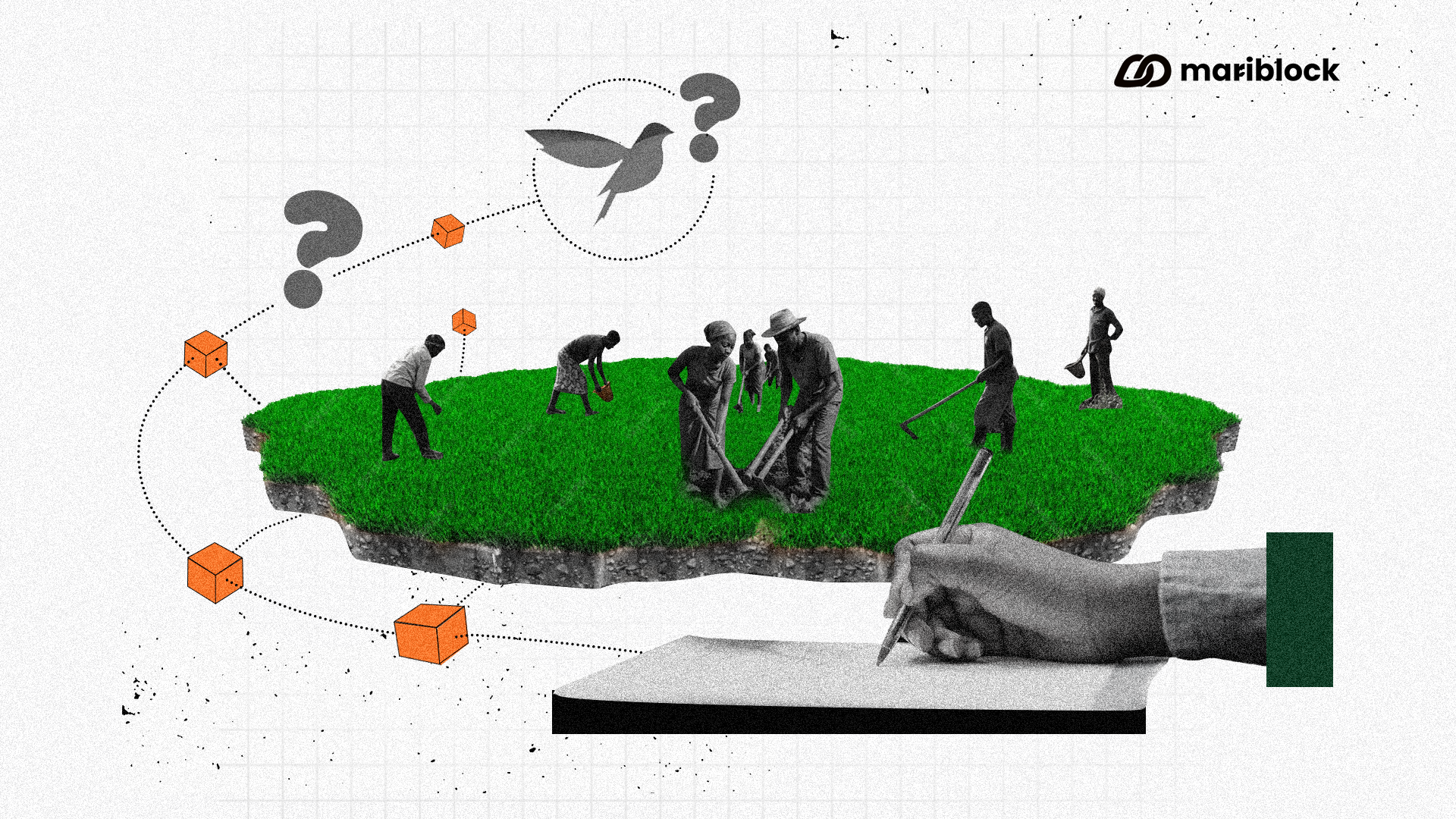 AFAN and African Holdings blockchain agriculture deal