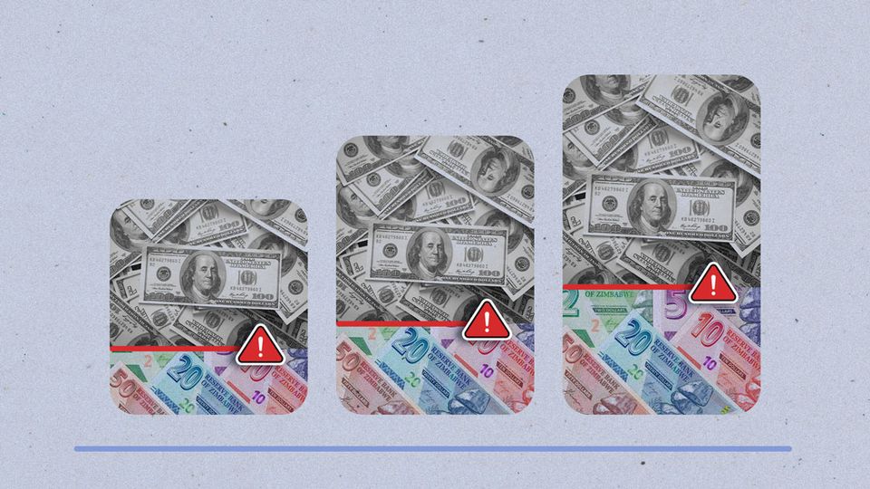 Zimbabwean trade body advises against full dollarization.
